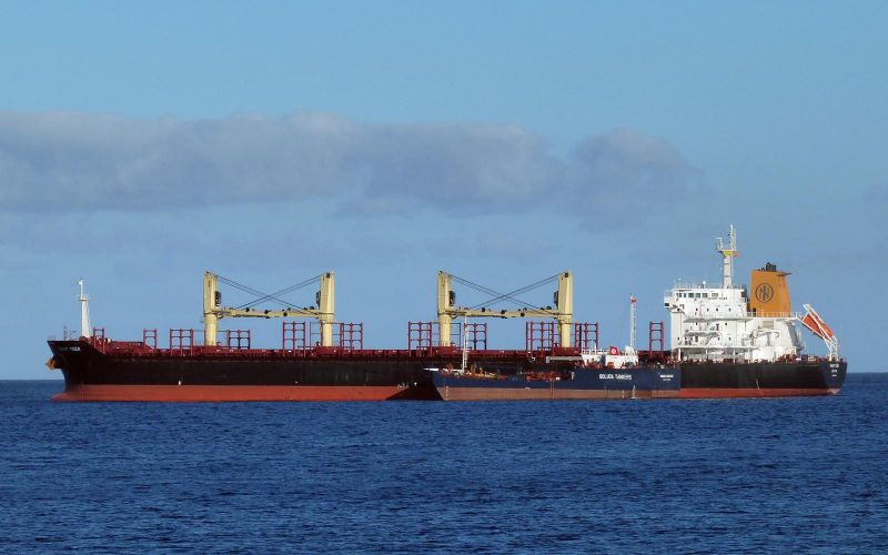 ORIENT TIGER - Graneles sólidos y combinados ...