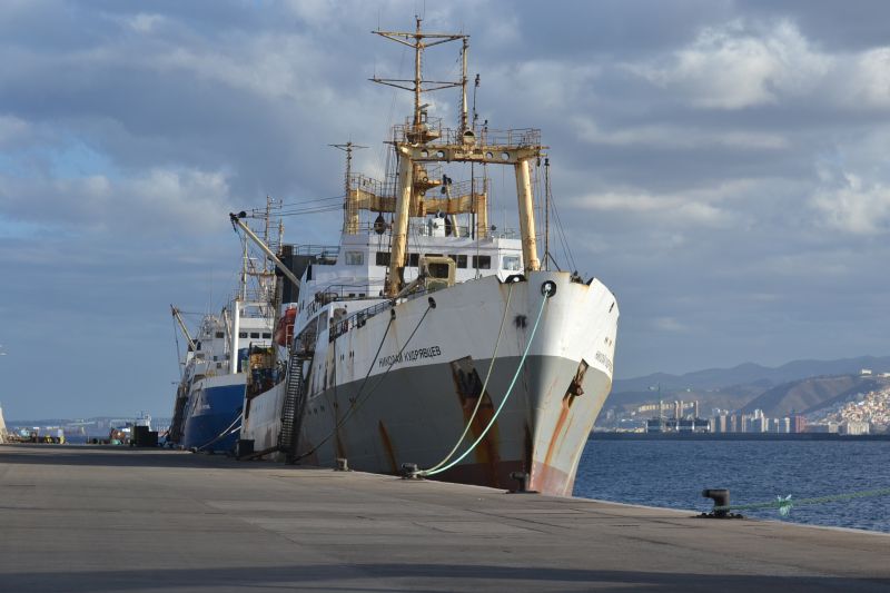 NIKOLAY KUDRYAVTSEV - Pesca y acuicultura - Arkhangelsk Trawl Fleet ...